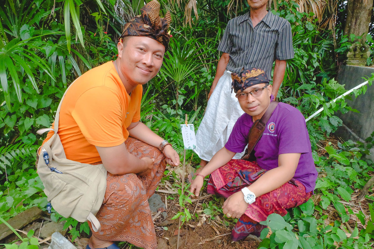 Preserving the Environment - Tree Plantings Program - Bali Mandira