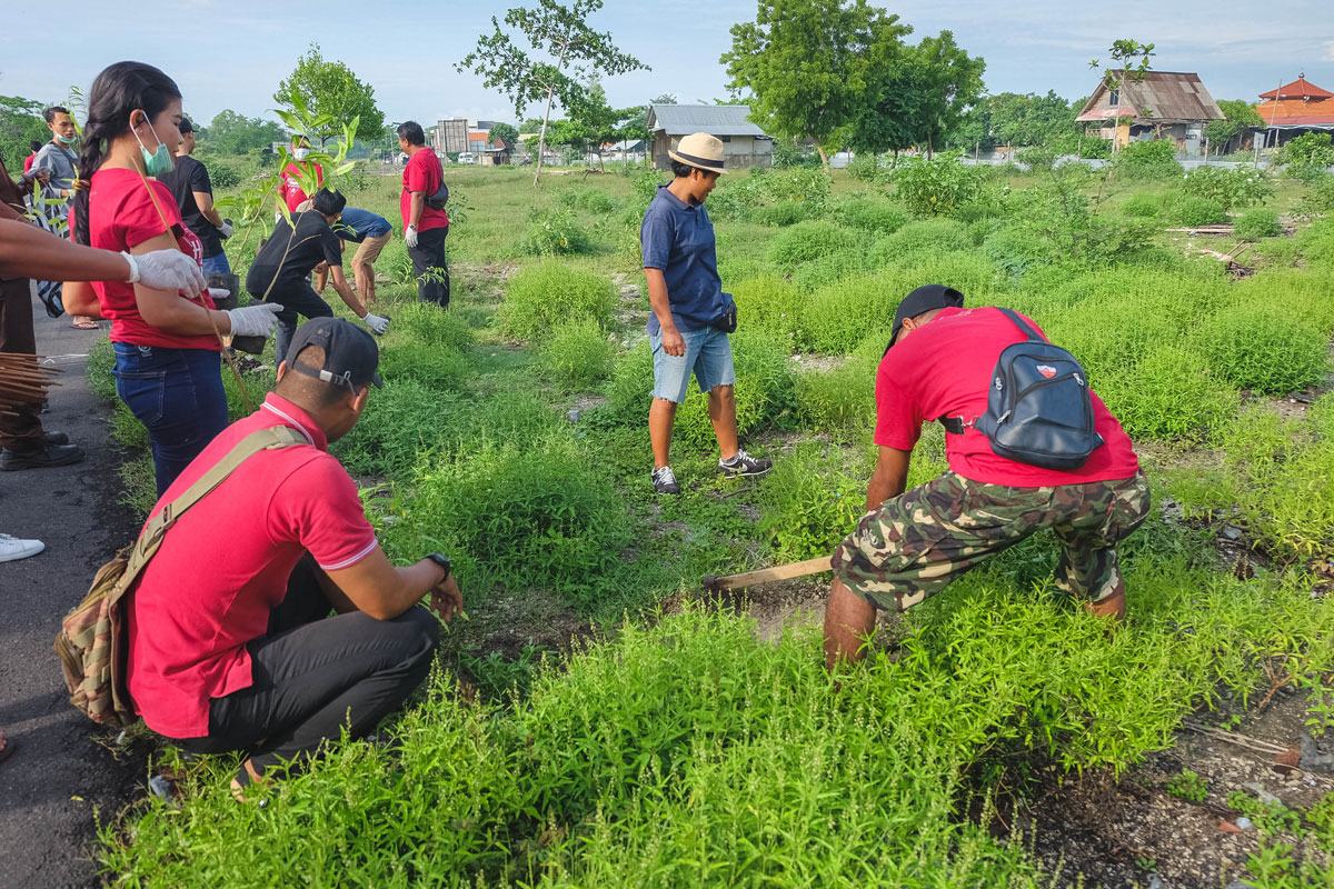 Preserving the Environment - Tree Plantings Program - Bali Mandira